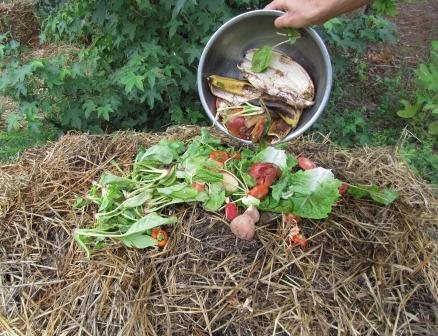 Swearing by Bio-foods – BeingHealthy by Divya Ruhee